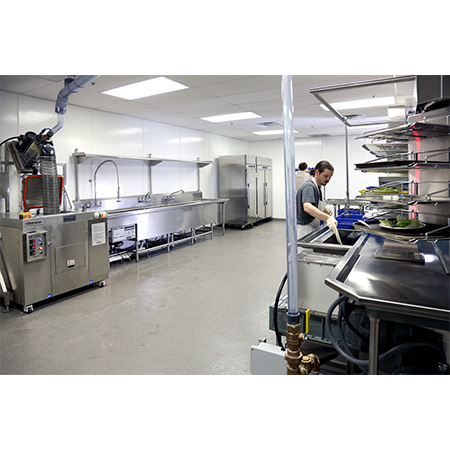 Kitchen Waste Management: The Best System for You – Foodservice ...